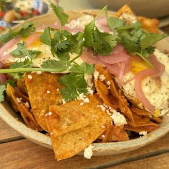 FIG TREE VENICE - Updated September 2024 - 1040 Photos & 649 Reviews ...