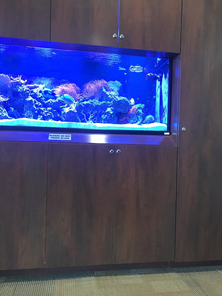 PREECE, CHURCH & ASSOCIATES, PEDIATRIC DENTISTRY - Updated December ...