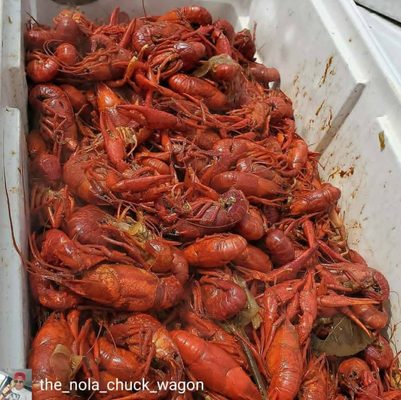 THE NOLA CHUCK WAGON - Updated July 2025 - 76 Photos - 2240 St Claude ...