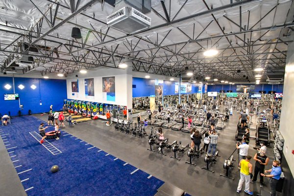 UFC FIT PLANTATION - Updated March 2026 - 35 Photos & 53 Reviews - 331 ...