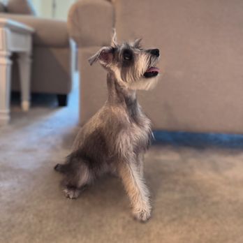 BARK ROOM - Updated March 2025 - 145 Photos & 122 Reviews - 65 S ...