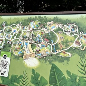 MEMPHIS ZOO - 1645 Photos & 340 Reviews - Zoos - 2000 Prentiss Pl ...