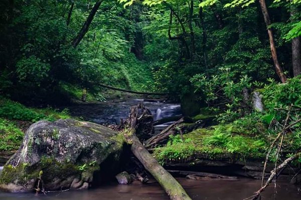 HOLLY RIVER STATE PARK - Updated January 2025 - Hacker Valley, West ...