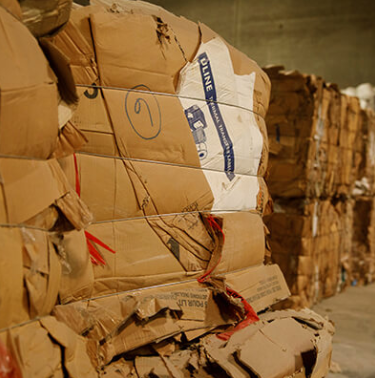 DTG RECYCLE - Updated May 2024 - 16504 9th Ave SE, Mill Creek ...