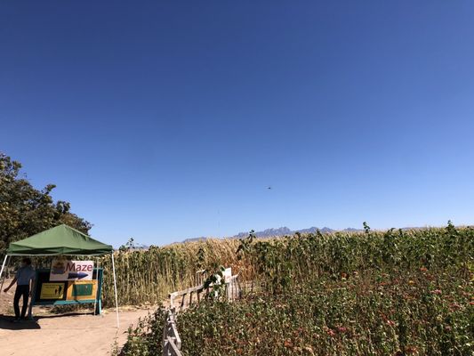 MESILLA VALLEY MAZE - Updated October 2025 - 35 Photos & 13 Reviews ...