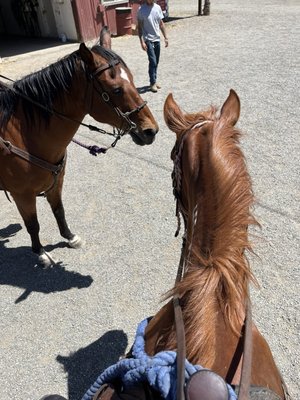 R-WILD HORSE RANCH - Updated September 2025 - 79 Photos & 25 Reviews ...