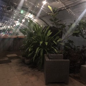 THE GREENHOUSE BAR - 92 Photos & 154 Reviews - Lounges - 2211 Bandywood ...