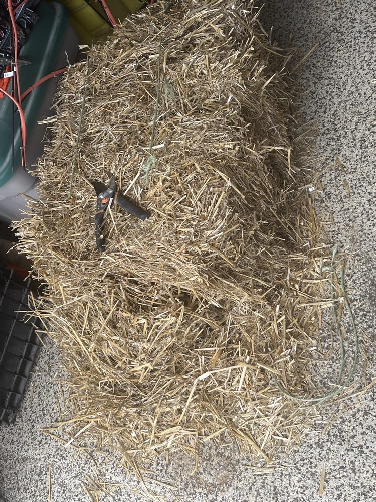 WANAMAKER FEED & SEED - Updated December 2025 - 14 Photos - 4410 ...