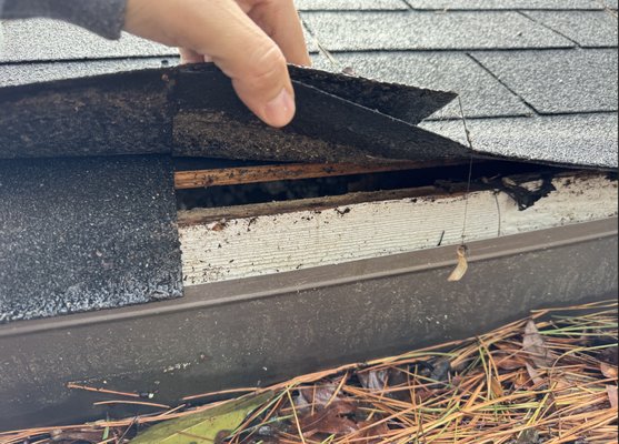 MAYDAY PEST CONTROL - Updated December 2025 - 17 Photos & 38 Reviews ...