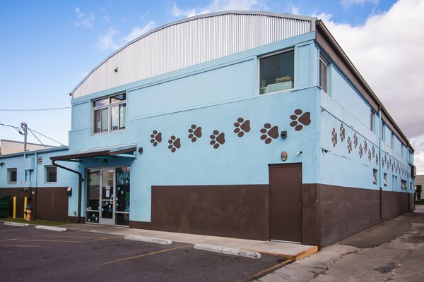 BARK! DOGGIE DAYCARE + HOTEL + SPA - Updated November 2024 - 70 Photos ...