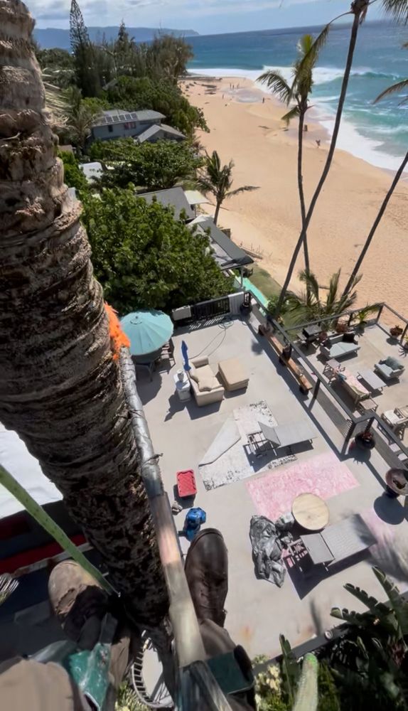 NIU TREE WORKS - Updated June 2025 - 59510 Alapio Rd, Haleiwa, Hawaii ...