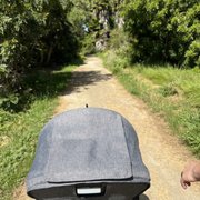 GUAJOME REGIONAL PARK - 305 Photos & 122 Reviews - Parks - 3000 Guajome ...