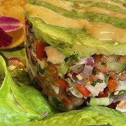 SOLUNA COCINA MEXICANA - 474 Photos & 539 Reviews - 7959 Broadway St ...