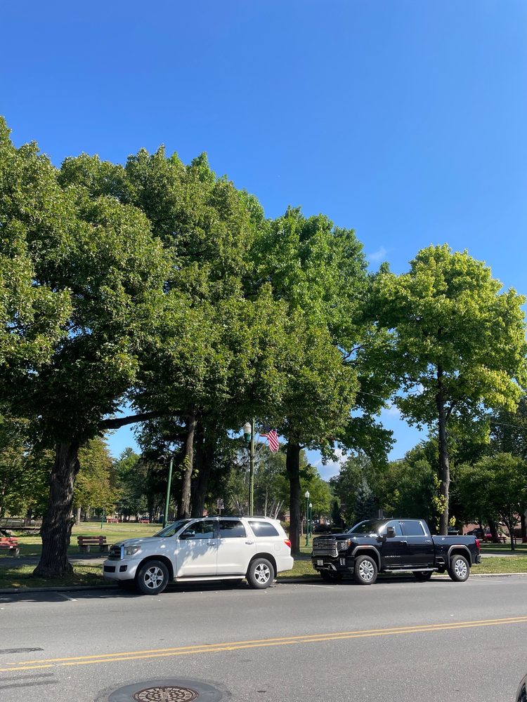 PALMERTON MEMORIAL PARK ASSN - Updated February 2025 - 1255 3rd St ...