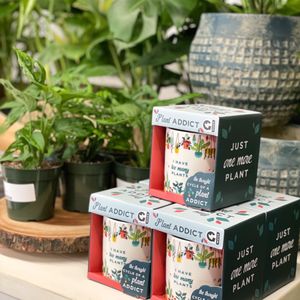 WINDING RIVER ICE RINK - Updated January 2026 - 1211 Whitesville Rd ...