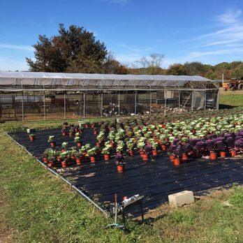 PEZZA FARM AND GARDEN CENTER - Updated October 2025 - 64 Photos & 18 ...