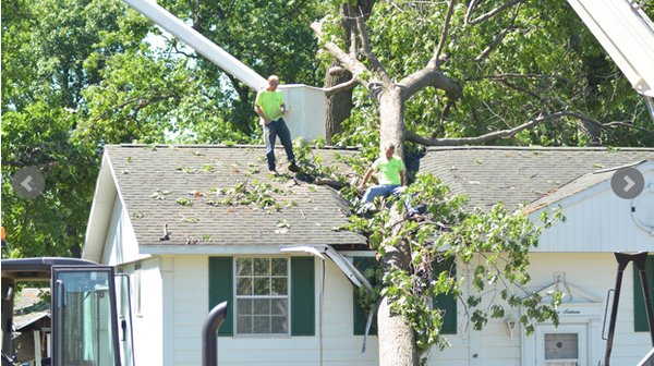 KACHUR TREE SERVICE - Updated December 2025 - 45 Photos - 316 Fulkerson ...