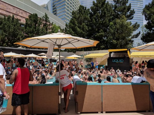 LIQUID POOL LOUNGE - 162 Photos & 194 Reviews - Swimming Pools - 3730 ...