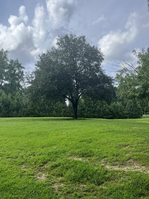 FOWLER PARK - Updated May 2025 - 53 Photos & 29 Reviews - 4110 Carolene ...