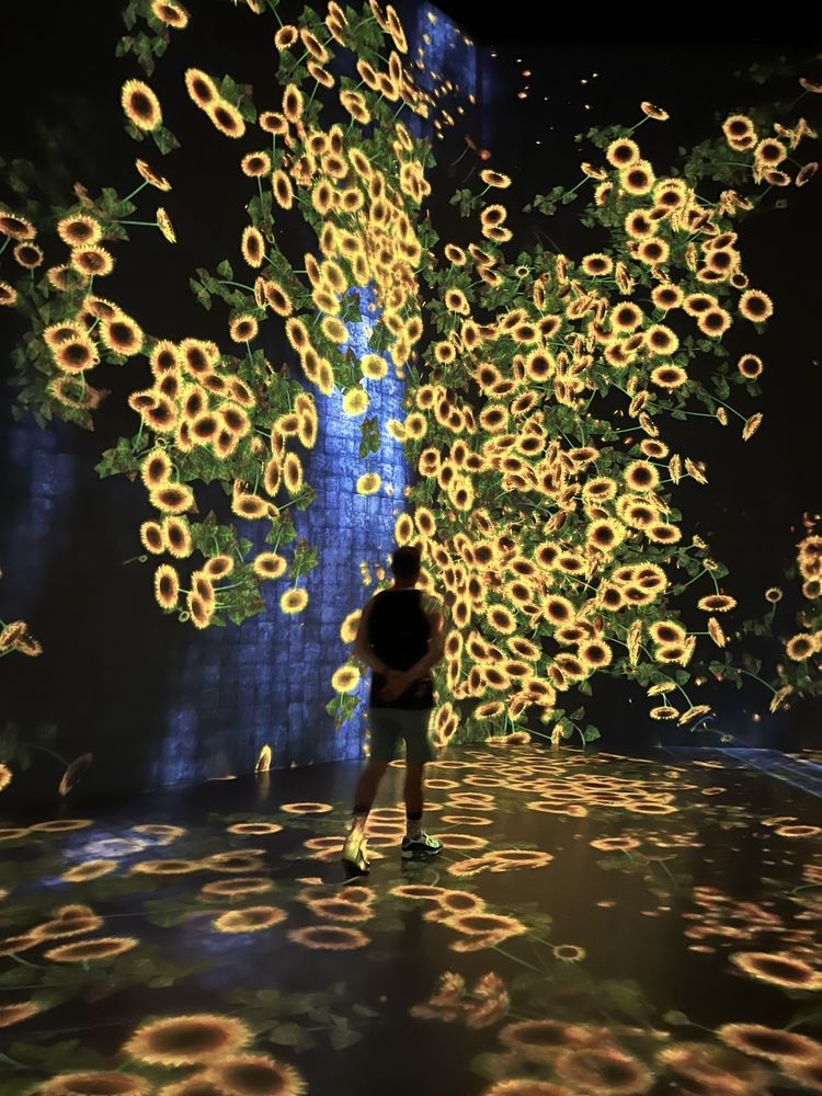 SUPERBLUE MIAMI - 604 Photos & 149 Reviews - 1101 NW 23rd St, Miami ...