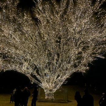 DRAPER CITY PARK - Updated December 2025 - 63 Photos & 23 Reviews ...