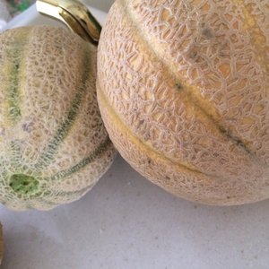 WOLFE’S PRODUCE - Updated August 2025 - 11343 State Route 37, Findlay ...