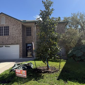 MOON VALLEY NURSERIES - Updated March 2025 - 32 Photos & 35 Reviews - 3550 N Loop 1604 E, San ...