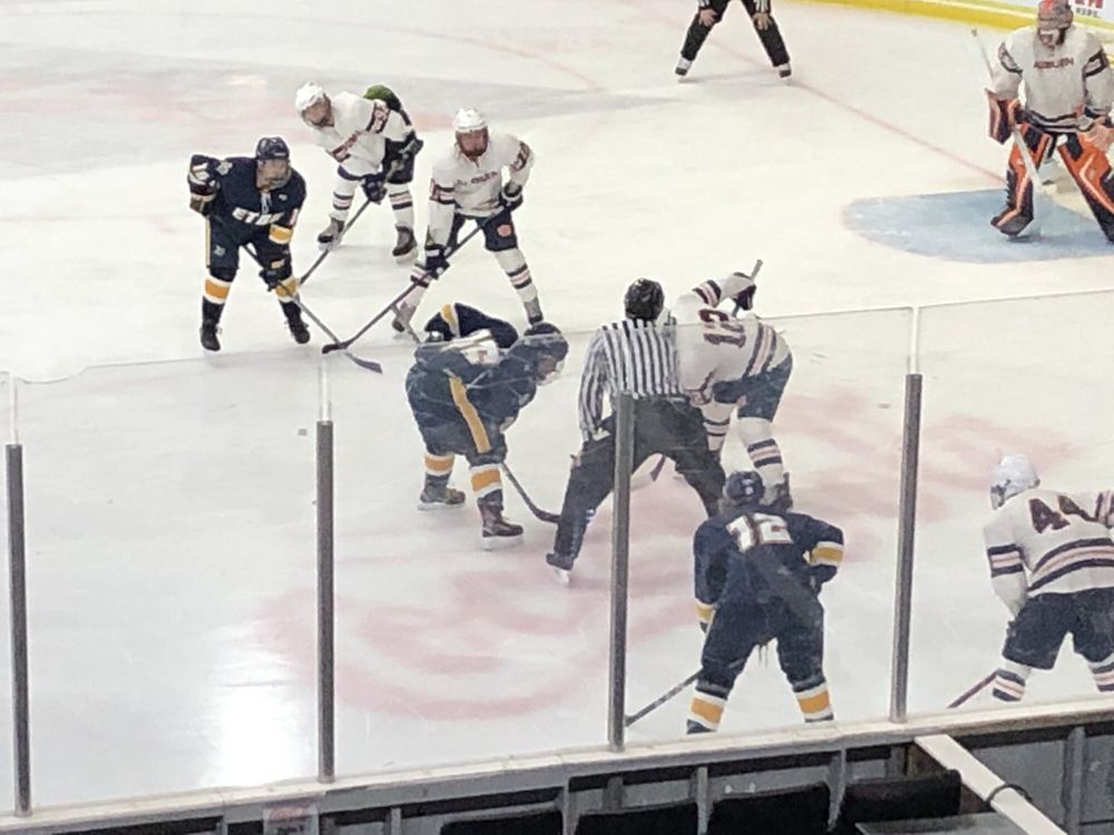 HIRSCH COLISEUM - Updated July 2025 - 320 Photos - 3701 Hudson Ave ...