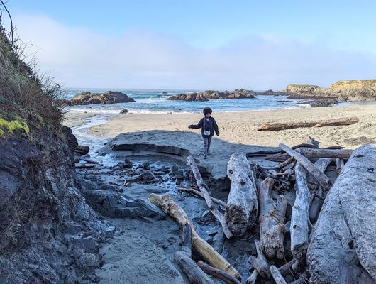 SHELL BEACH - Updated November 2025 - 37 Photos & 10 Reviews - 39200 ...