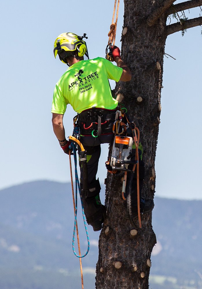 Apex Tree Service Updated March 2025 801 Coyote Ct Great Falls
