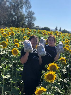 PEDRICK PRODUCE - 973 Photos & 480 Reviews - 6850 Sievers Rd, Dixon ...