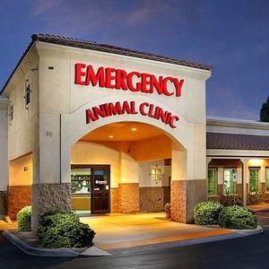VCA ANIMAL REFERRAL AND EMERGENCY CENTER OF ARIZONA - Updated October ...