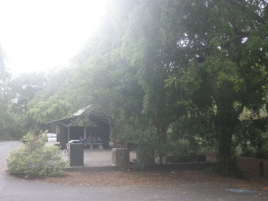 J C SLAUGHTER FALLS PICNIC AREA - Updated May 2025 - Sir Samuel ...