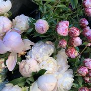 STEVE’S FLOWER MARKET - 500 Photos & 316 Reviews - 1039 W Grand Ave ...