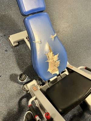 CRUNCH FITNESS - MARBACH - Updated January 2025 - 44 Photos & 36 ...