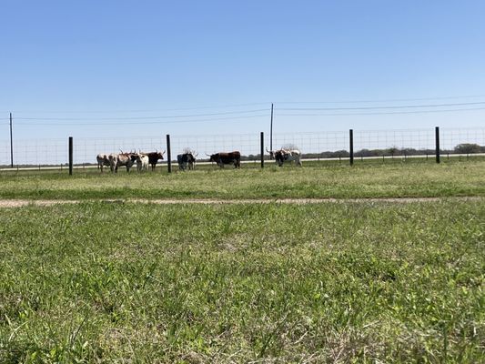 GEORGE RANCH HISTORICAL PARK - Updated March 2025 - 100 Photos & 43 ...