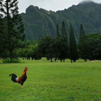 PALI GOLF COURSE - Updated August 2024 - 96 Photos & 67 Reviews - 45 ...