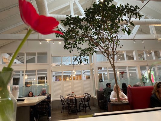 THE RED GRAPE - 600 Photos & 861 Reviews - 529 1st St W, Sonoma ...