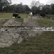 MUSCOOT FARM - 143 Photos & 37 Reviews - Farmers Market - 51 Rt 100 ...