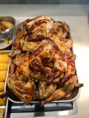 DIZZY BIRD - Updated May 2024 - 170 Photos & 201 Reviews - 555 The ...