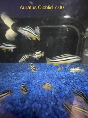 650 OCEAN’S REEF - Updated August 2025 - Request Information - 11 ...