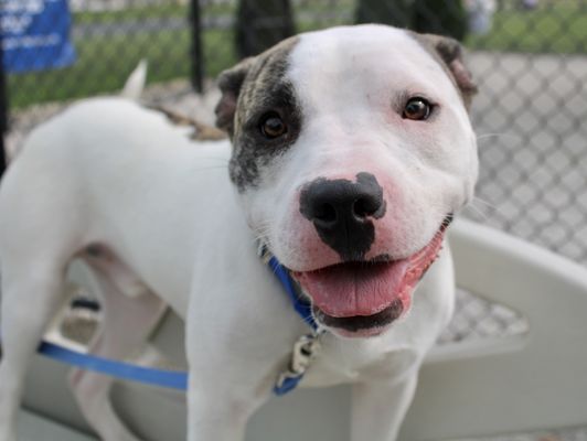 TOLEDO HUMANE SOCIETY - Updated October 2025 - 20 Photos & 14 Reviews ...