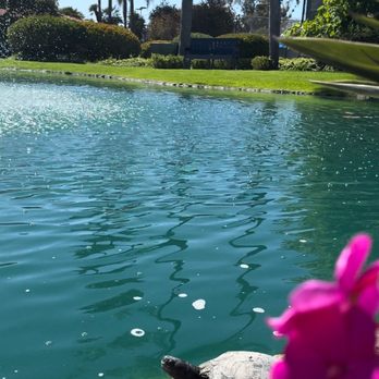 LOMAS SANTA FE COUNTRY CLUB - Updated December 2025 - 174 Photos & 51 ...