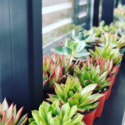 RADEN WELLNESS - Updated January 2026 - 21 Reviews - 200 Green Bay Rd ...