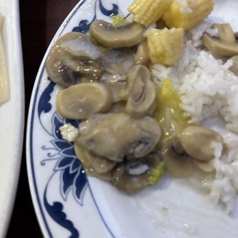 ABACUS INN CHINESE RESTAURANT - Updated January 2026 - 175 Photos & 270 ...