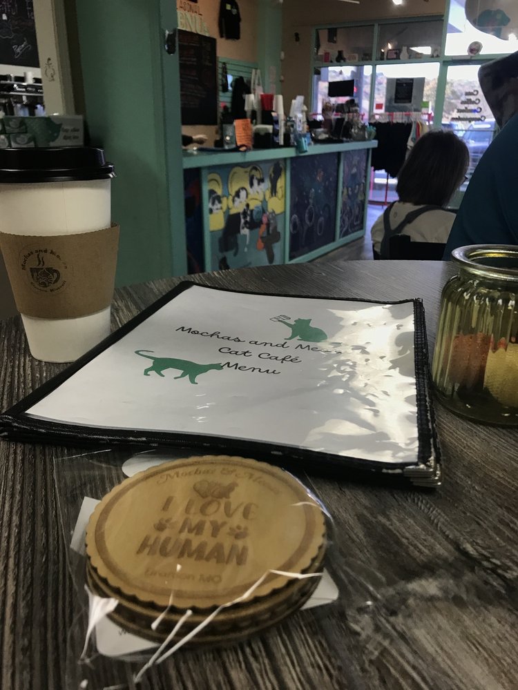 MOCHAS AND MEOWS - Updated May 2024 - 115 Photos & 65 Reviews - 3265 ...