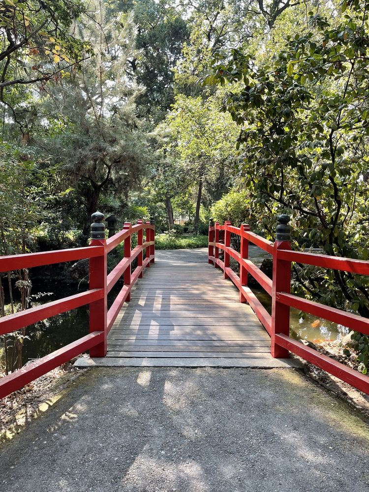 MICKE GROVE PARK - 119 Photos & 52 Reviews - 11793 N Micke Grove Rd ...