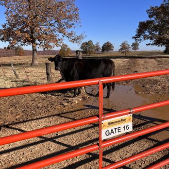 WILDERNESS RIDER BUFFALO RANCH & ADVENTURE PARK - Updated December 2025 ...