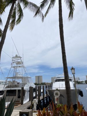 THE BOCA RATON -YACHT CLUB - Updated November 2025 - 53 Photos - 501 E ...