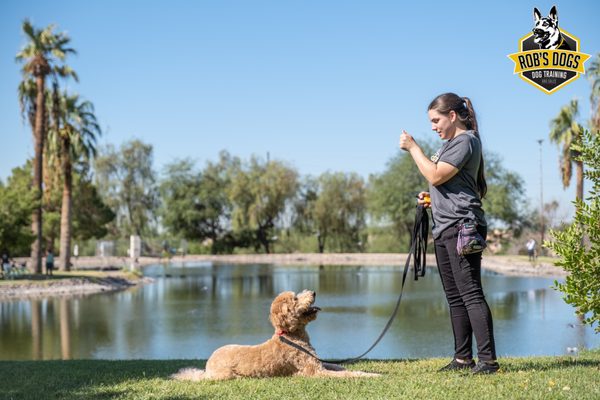 ROB’S DOGS - Updated October 2025 - 135 Photos & 70 Reviews - 4204 E Indian School Rd, Phoenix ...